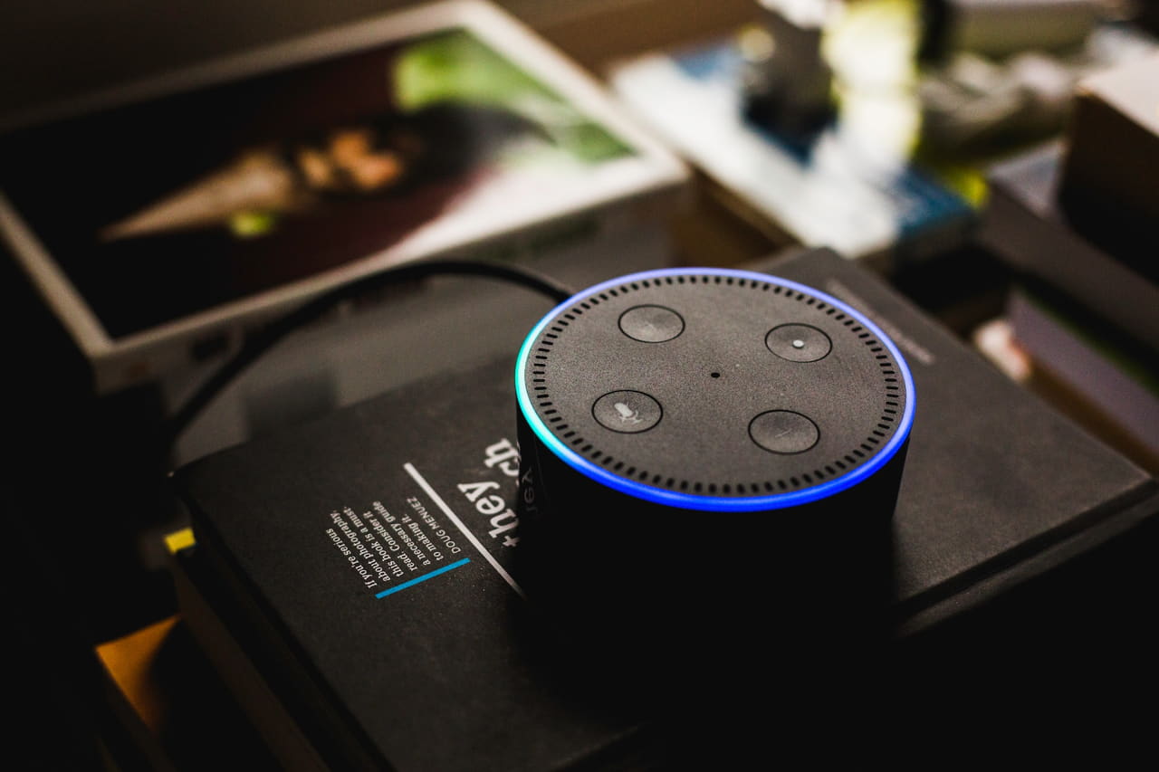 The Synergy of Voice Assistants and Home Networks